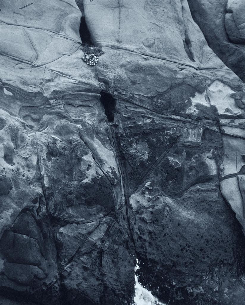 Minor White – Abstract Photographer | one eyed squirrel